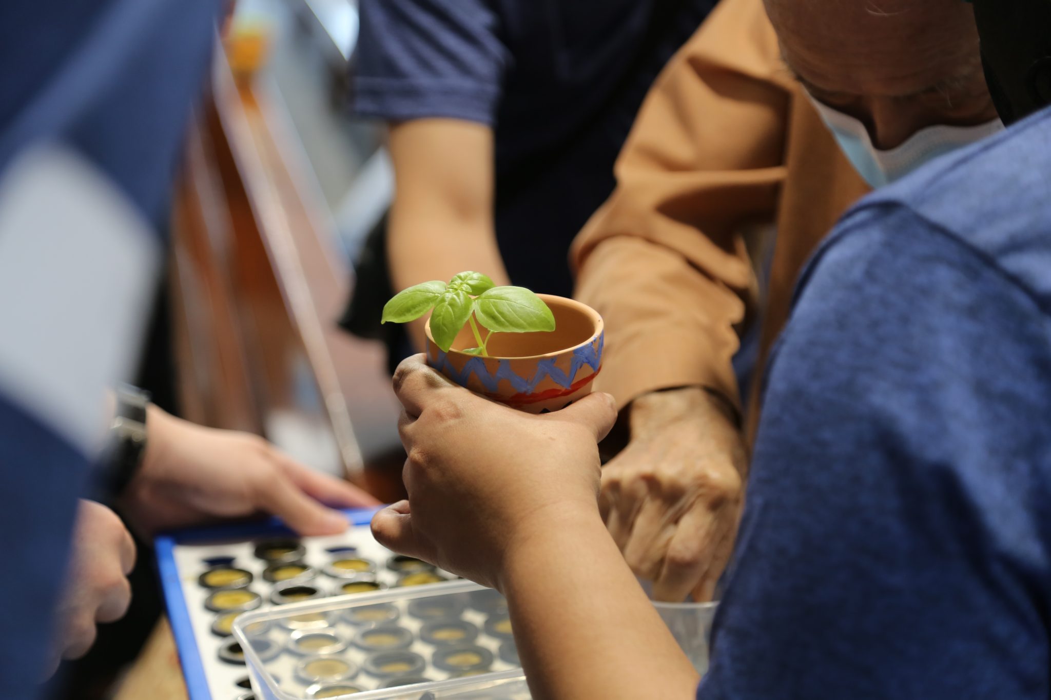 Going Green: An eventful visit to The Helping Hand | St Luke's ElderCare