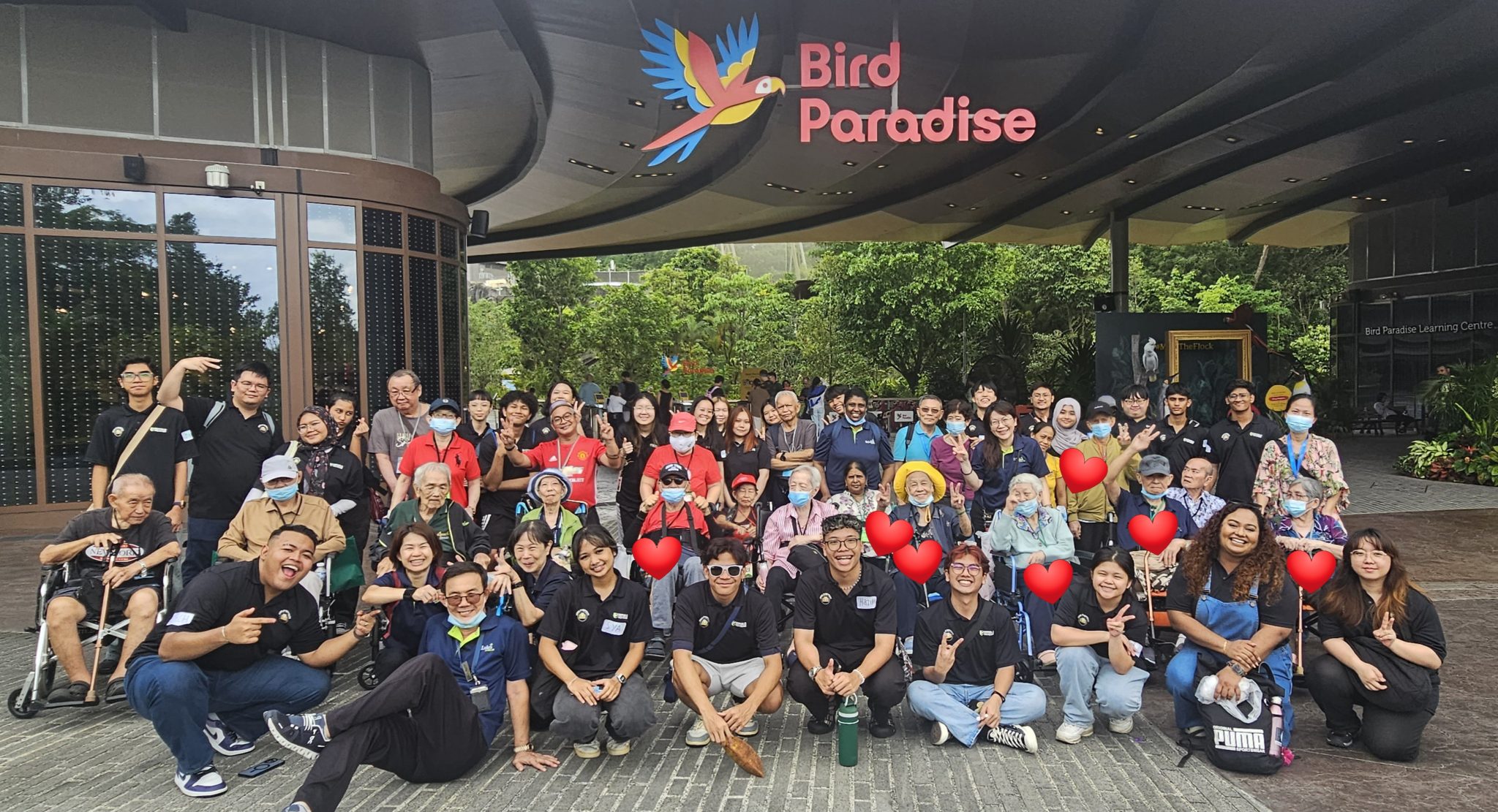 Where Joy, Learning, and Connection Stems From | St Luke's ElderCare